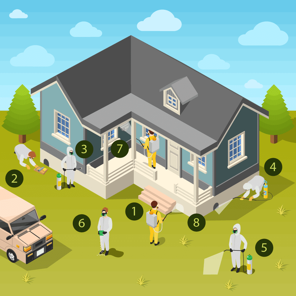 Pest Control Plan - Nature's Edge Pest Solutions