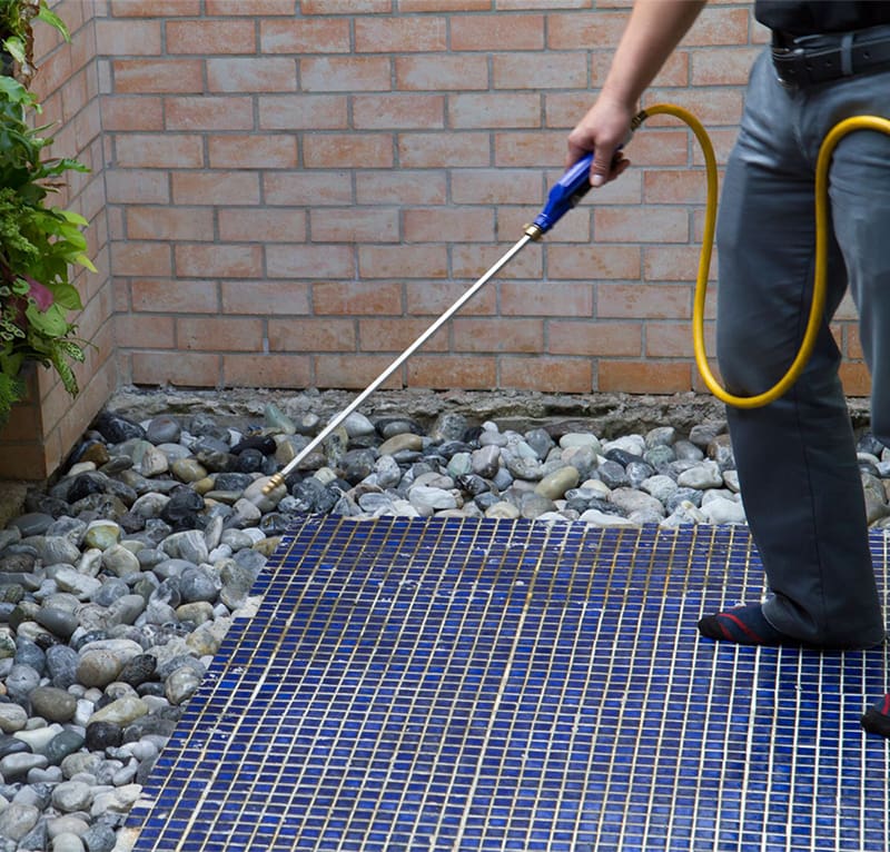 Exterminator | Nature's Edge Pest Solutions | Fayetteville, AR